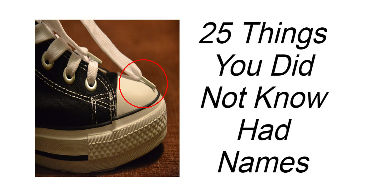 Things You Did Not Know Had Names Things You Did Not Know Had Names