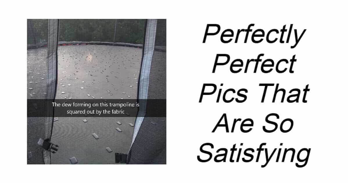 Perfectly Perfect Pics That Are So Satisfying