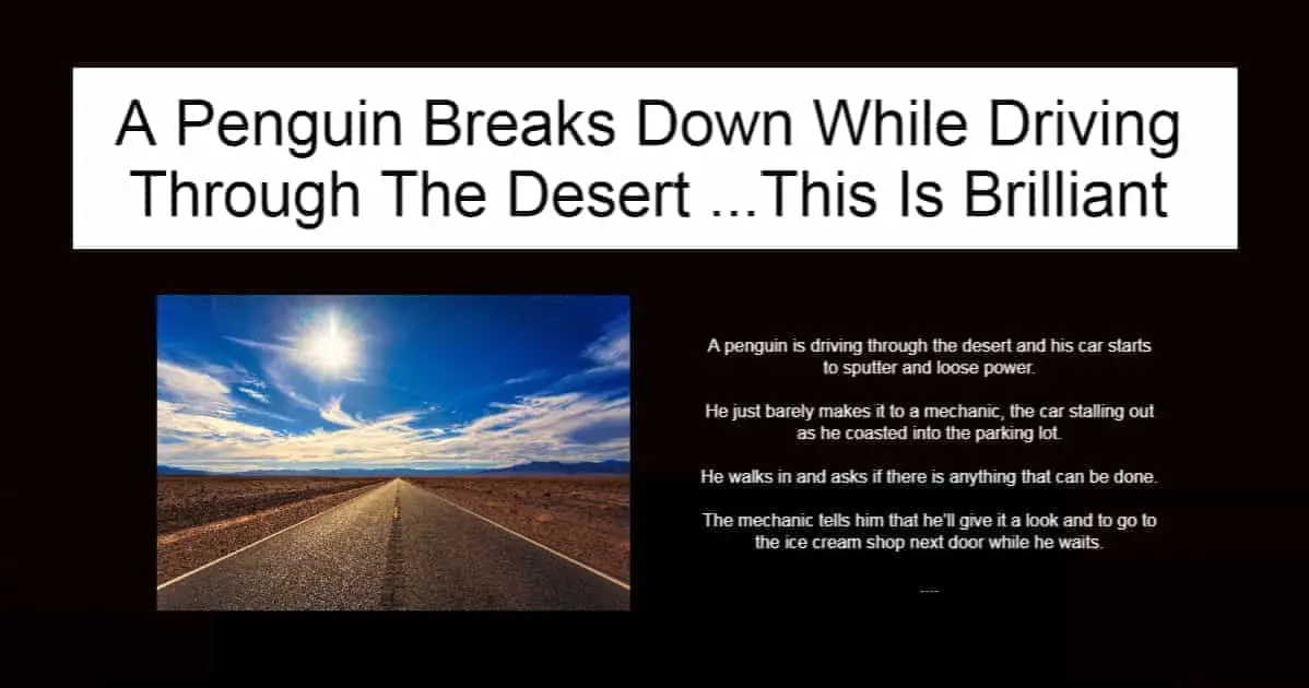 A Penguin Breaks Down While Driving Through The Desert