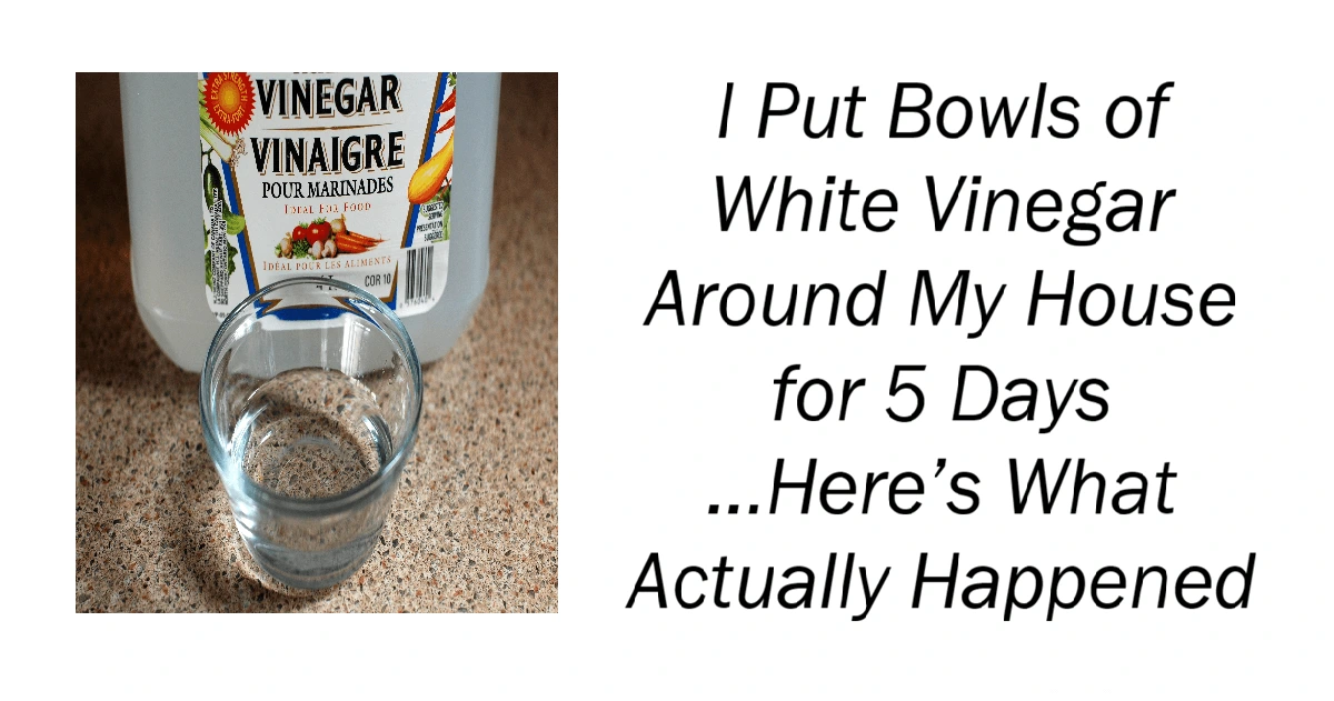 I Put Bowls of White Vinegar Around My House