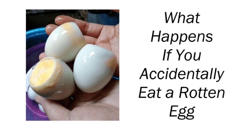 What Happens If You Accidentally Eat a Rotten Egg